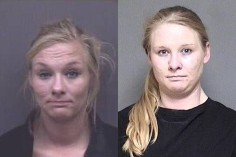 Minnesota Woman High On Meth Kills Two In Amish Buggy Crash