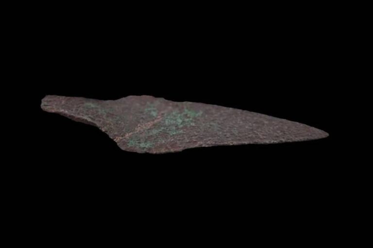 'Extremely Rare' 4,000-Year-Old Dagger Discovered In Poland