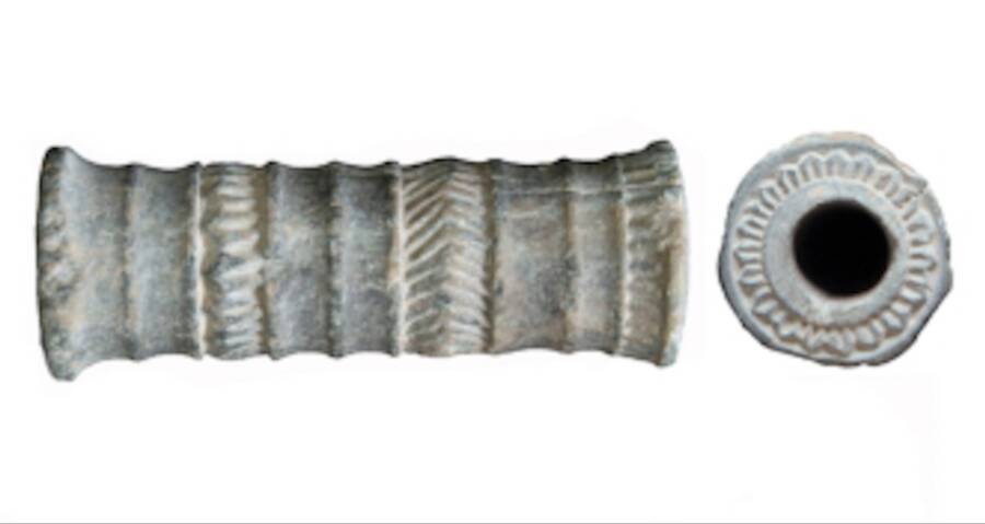 Interesting Science Articles And Breaking News From All That's Interesting