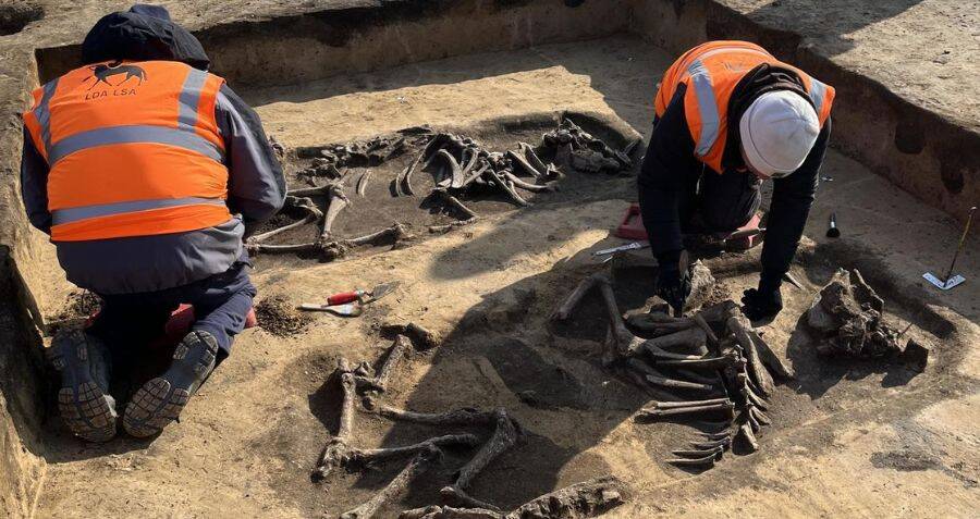 6,000-Year-Old Neolithic Burial Complex Discovered In Germany