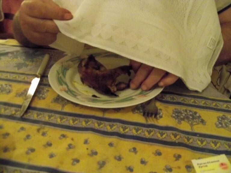 Ortolan, The French Delicacy So Delicious It's Sinful