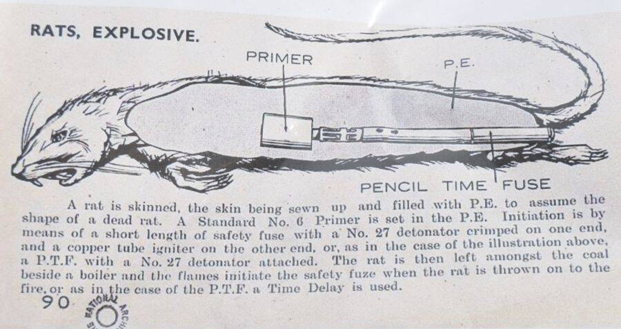 Special Operations Executive: Britain's Secret Army During WW2
