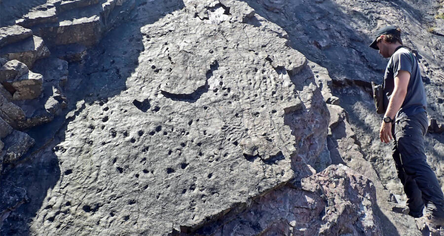 Interesting Science Articles And Breaking News From All That's Interesting