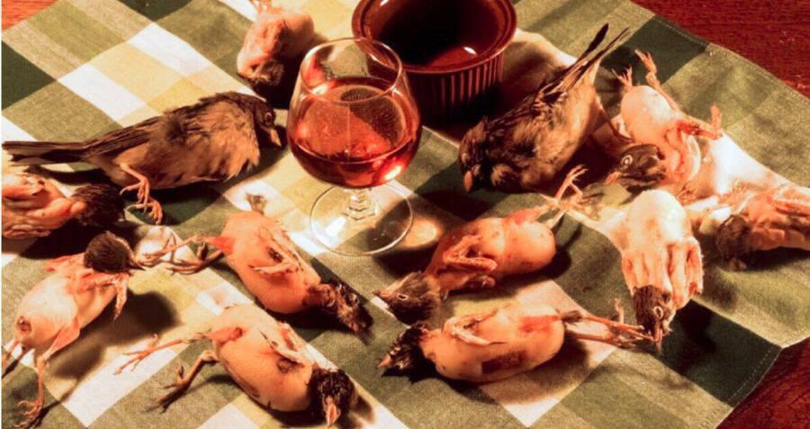 Ortolan, The French Delicacy So Delicious It's Sinful