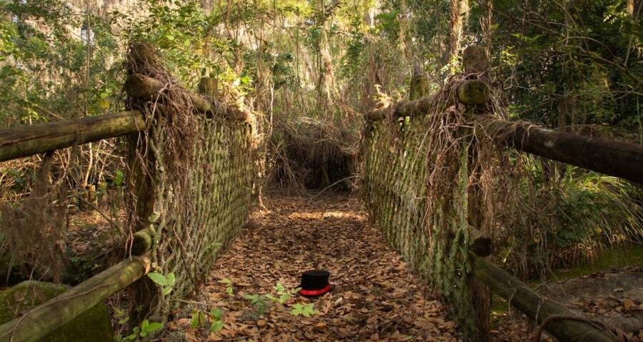 Jaclyn Anglis - All That's Interesting