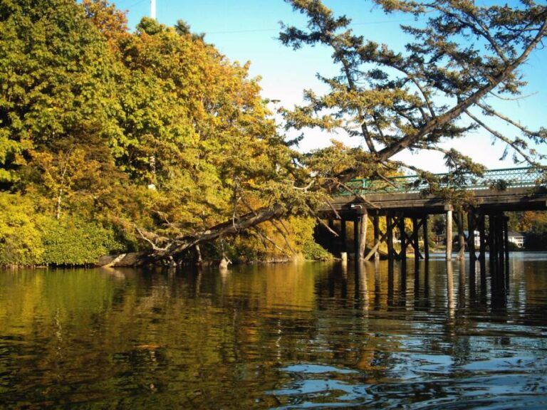 Reena Virk’s Horrific Murder Under The Bridge