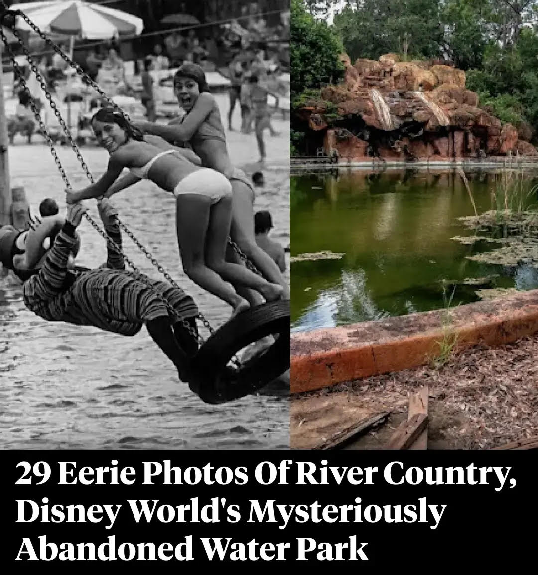 River Country, Disney’s Water Park That Was Mysteriously Abandoned