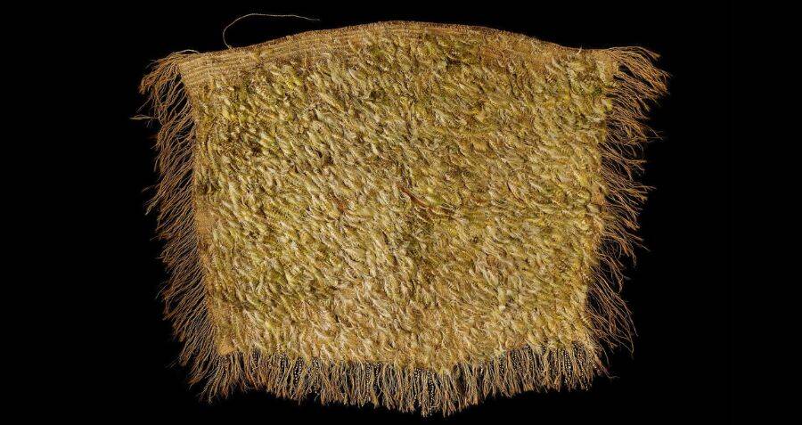 Restored Māori Kākāpō Cloak Goes On Display In Scotland