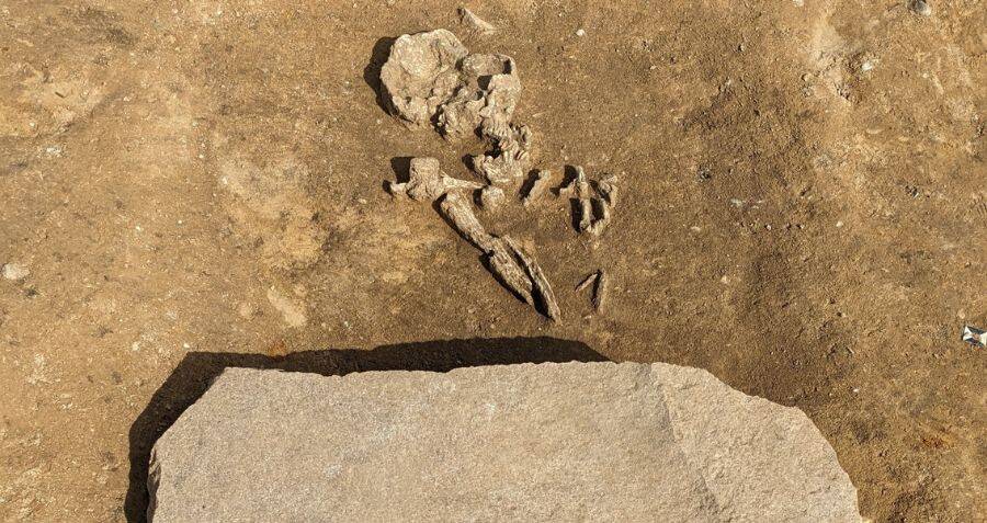 Bronze Age 'Zombie Grave' Unearthed In Germany