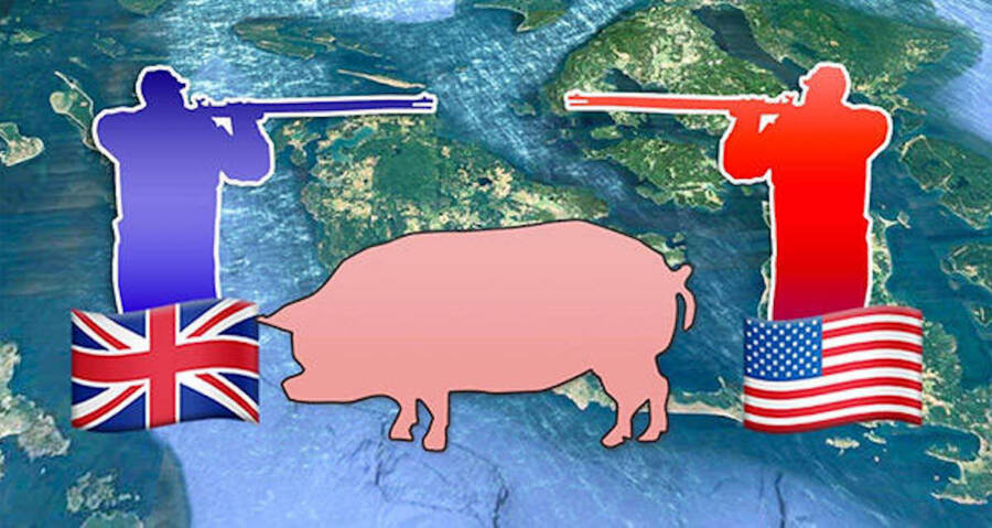 The Pig War Of 1859: The British-American Conflict Over A Pig