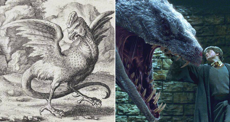 Basilisk, The Mythic Monster That Kills With A Single Look