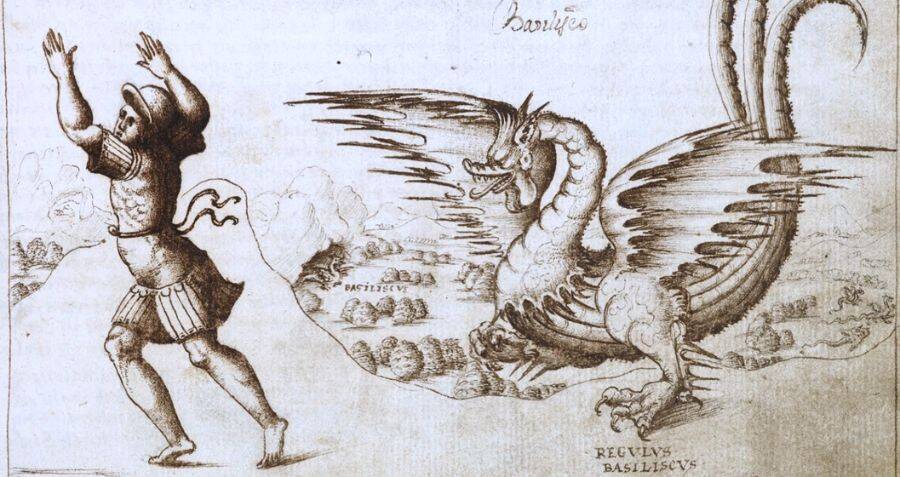 Basilisk, The Mythic Monster That Kills With A Single Look