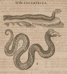 Basilisk, The Mythic Monster That Kills With A Single Look