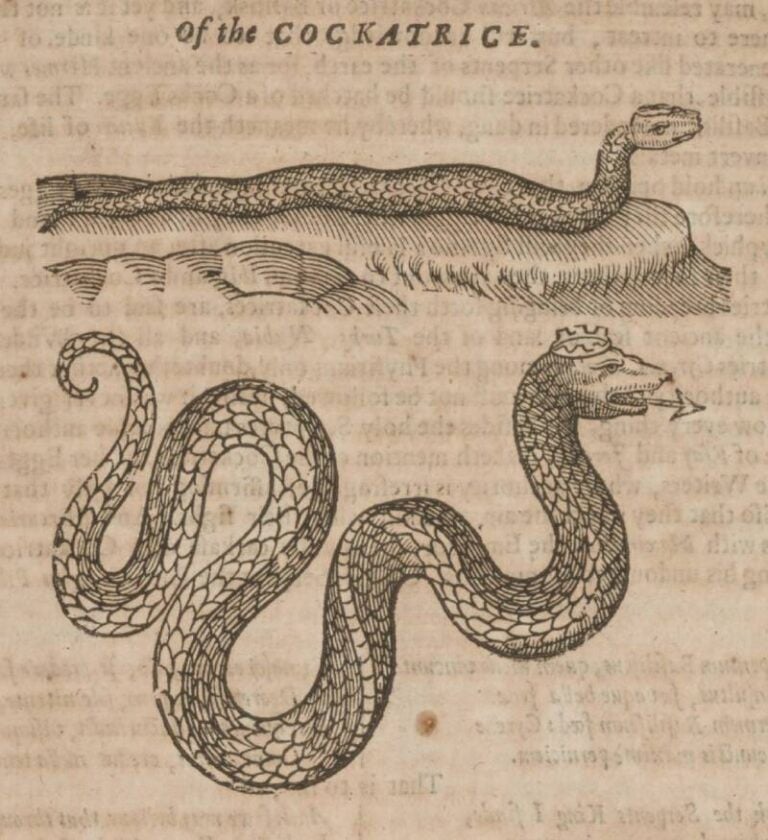 Basilisk, The Mythic Monster That Kills With A Single Look