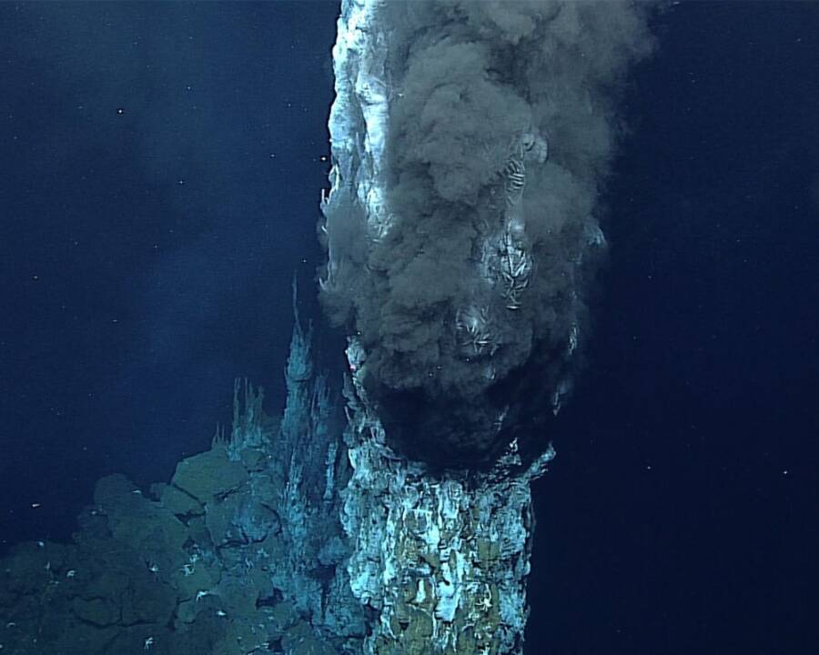 Challenger Deep: What Lies In The Deepest Part Of The Ocean?