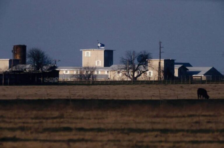 Rachel Koresh, The Wife Of Branch Davidian Leader David Koresh