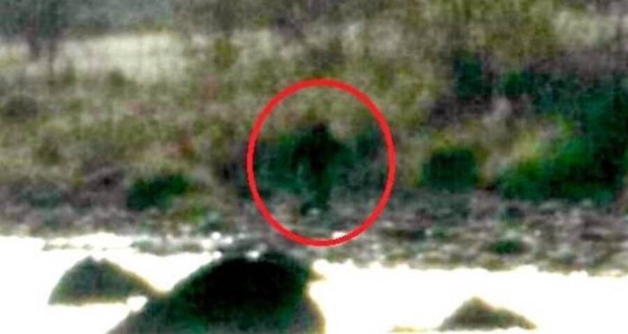 Is Bigfoot Real? Inside The Expert Evidence And Sightings