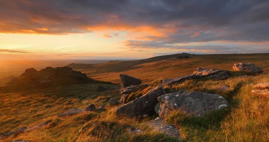 The World's Most Interesting News Articles From All That's Interesting