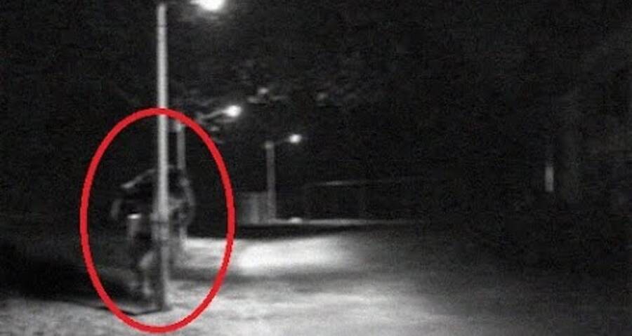 Michigan Dogman, The Legendary Seven-Foot-Tall Canine Monster