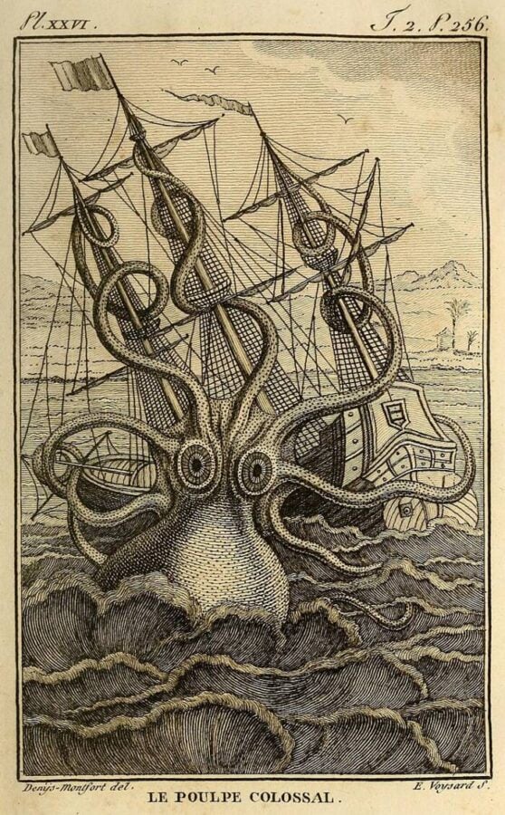 The Terrifying Legend Of The Kraken And The Stories Behind It