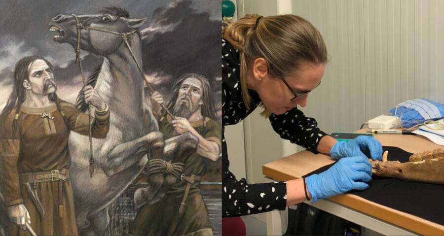 Medieval Christians Supplied Pagans With Sacrificial Horses