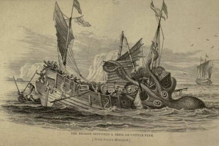 The Terrifying Legend Of The Kraken And The Stories Behind It