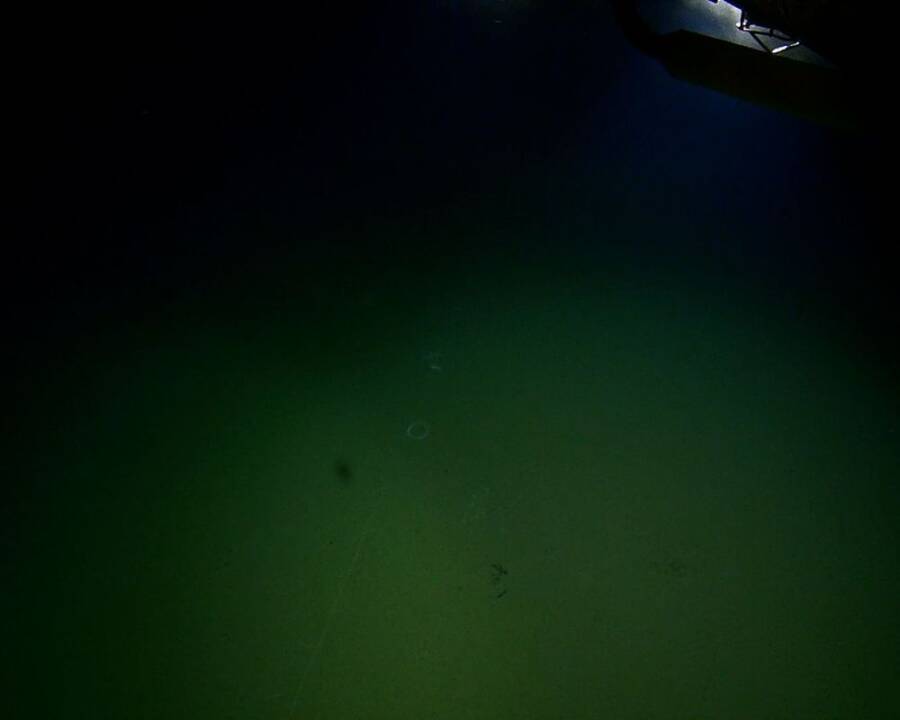 Challenger Deep: What Lies In The Deepest Part Of The Ocean?