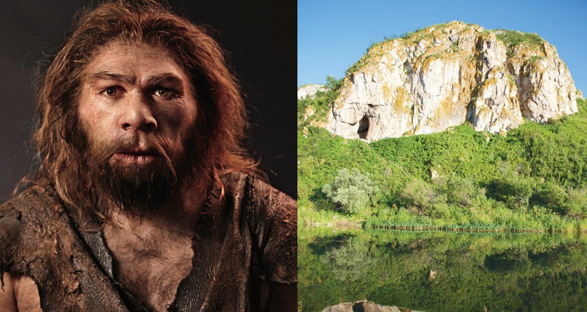 Oldest Known Human Viruses Discovered In Neanderthal Remains