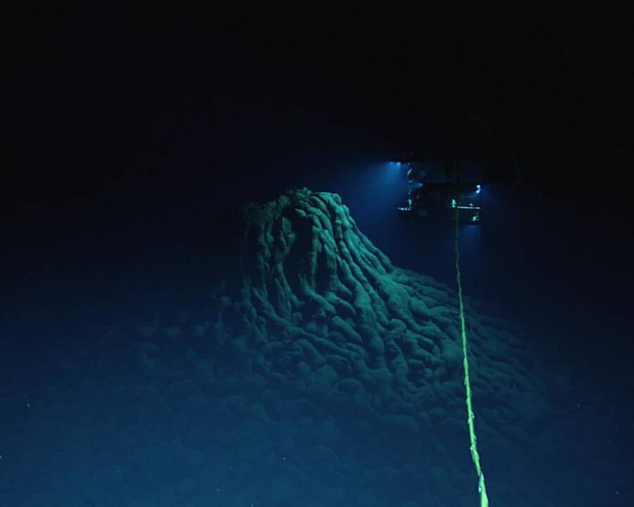 Challenger Deep: What Lies In The Deepest Part Of The Ocean?