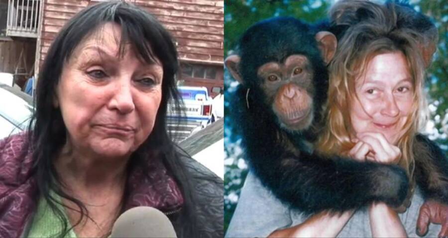 Sandra Herold, Owner Of The Chimp That Mauled Charla Nash
