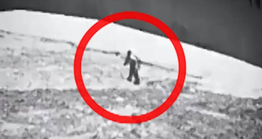 Is Bigfoot Real? Inside The Expert Evidence And Sightings
