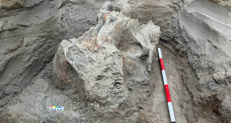 Interesting Science Articles And Breaking News From All That's Interesting