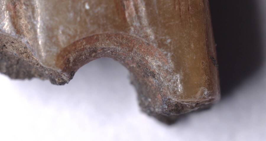 Artifacts Found In Tibet May Be The World's Oldest Stone Needles