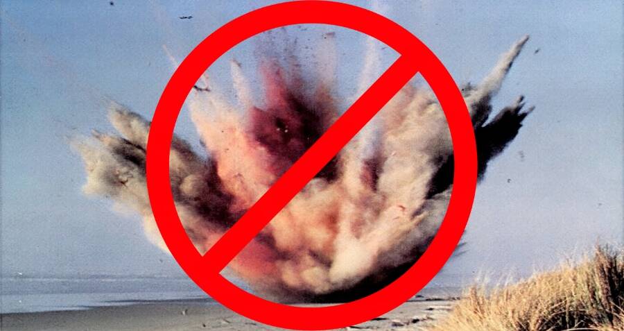 Oregon Officials Declare They Will Not Blow Up Dead Whale