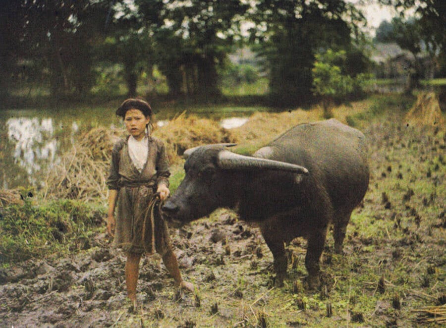 33 Historic Photos Of Vietnam When It Was A French Colony