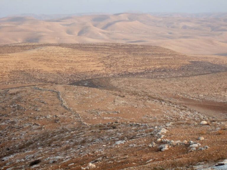 A Rare Neolithic Stone Mask Was Just Unveiled In Israel