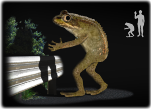 The Loveland Frogman: The Humanoid Frog Of Ohio Legend