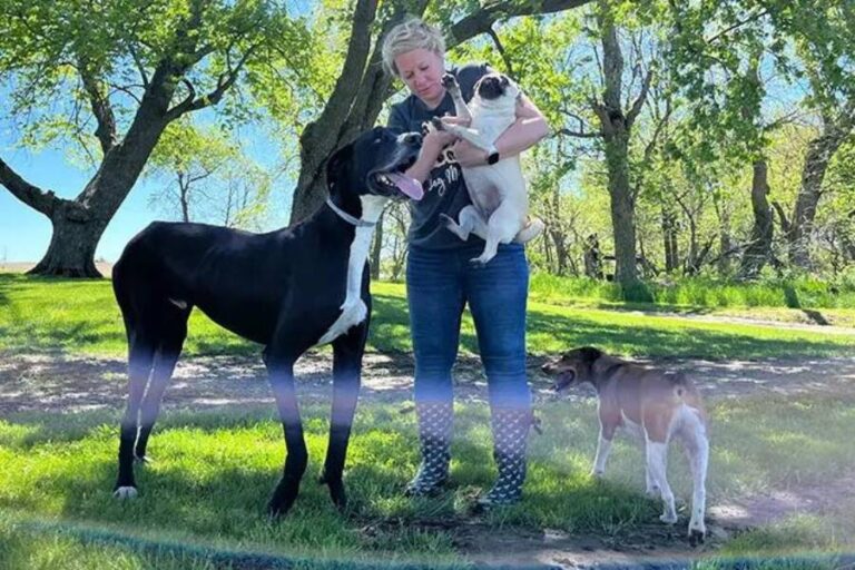 Meet Kevin, Guinness Records' World's Tallest Dog