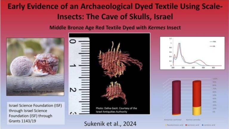 4,000-Year-Old Fabric In Israel Is Oldest To Be Dyed With Insects
