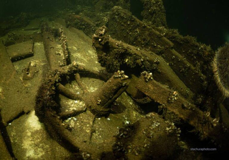 100 Bottles Of Champagne Found In 19th-Century Baltic Shipwreck