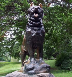 The True Story Of Balto The Sled Dog – History Uncovered