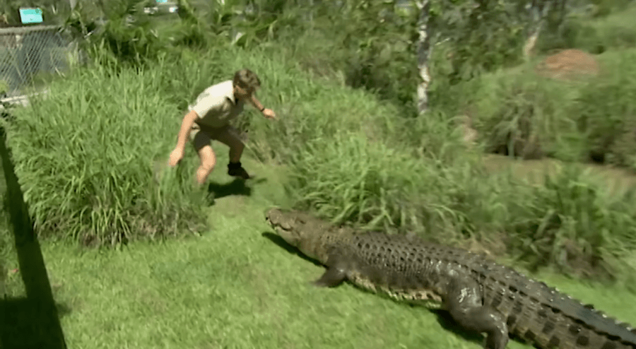 33 Wild Pictures Of Steve Irwin That Capture The 'Crocodile Hunter'