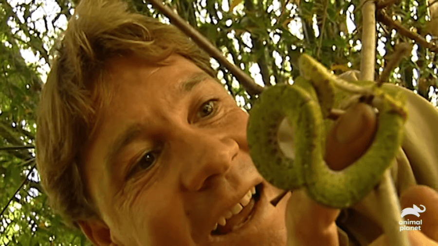 33 Wild Pictures Of Steve Irwin That Capture The 'Crocodile Hunter'