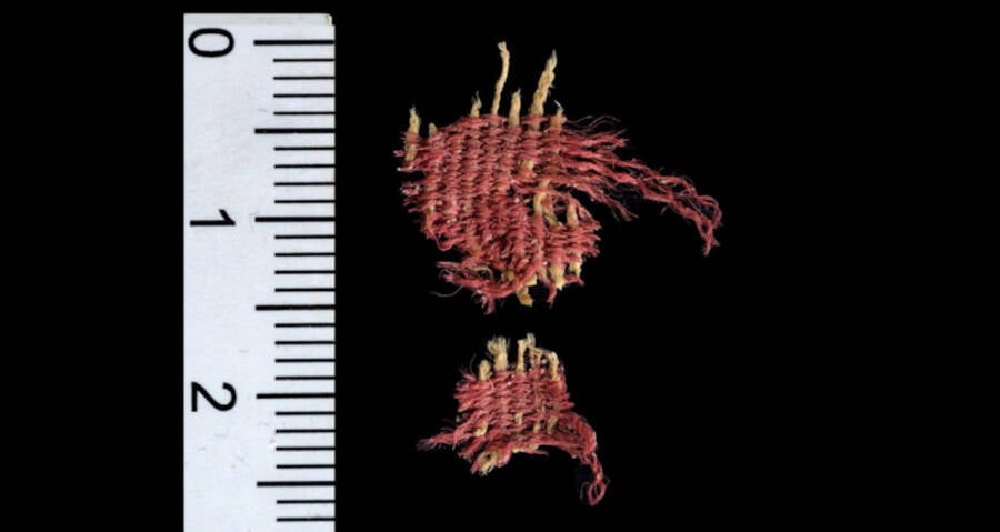 4,000-Year-Old Fabric In Israel Is Oldest To Be Dyed With Insects