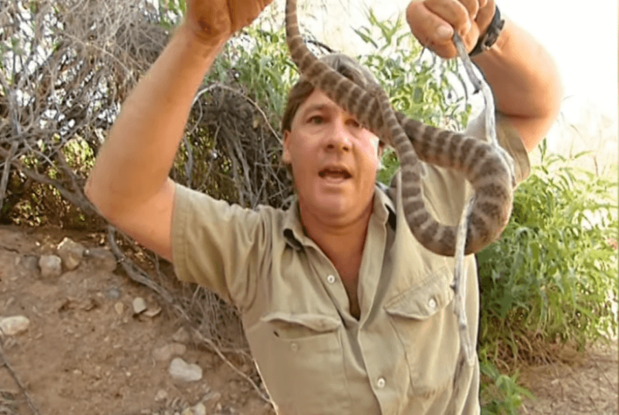33 Wild Pictures Of Steve Irwin That Capture The 'Crocodile Hunter'