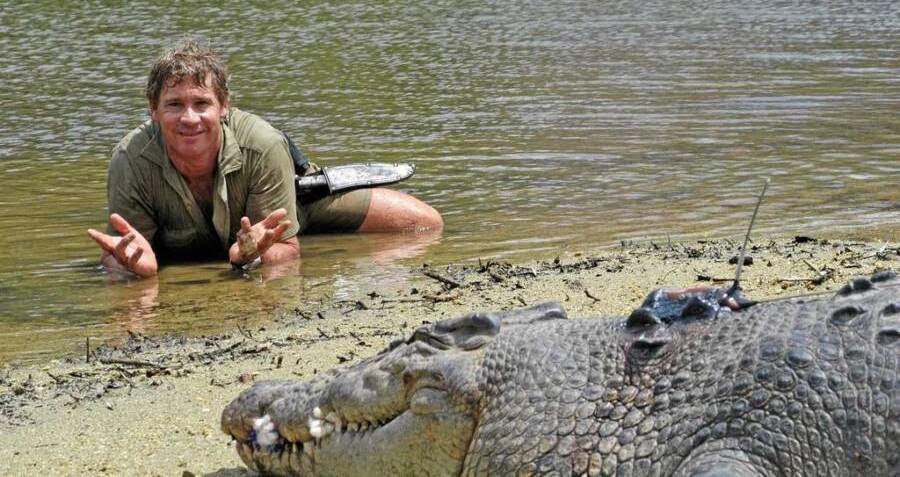 33 Wild Pictures Of Steve Irwin That Capture The 'Crocodile Hunter'