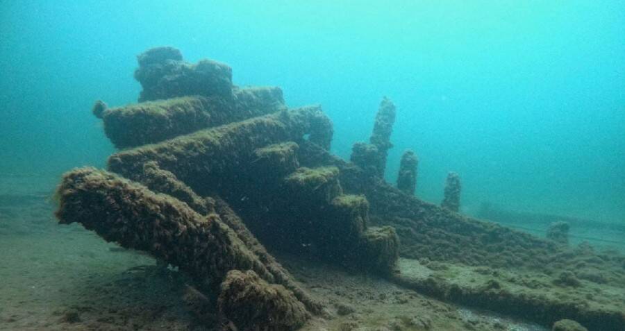 Ship That Sank With Captain's Dog Onboard In 1893 Discovered