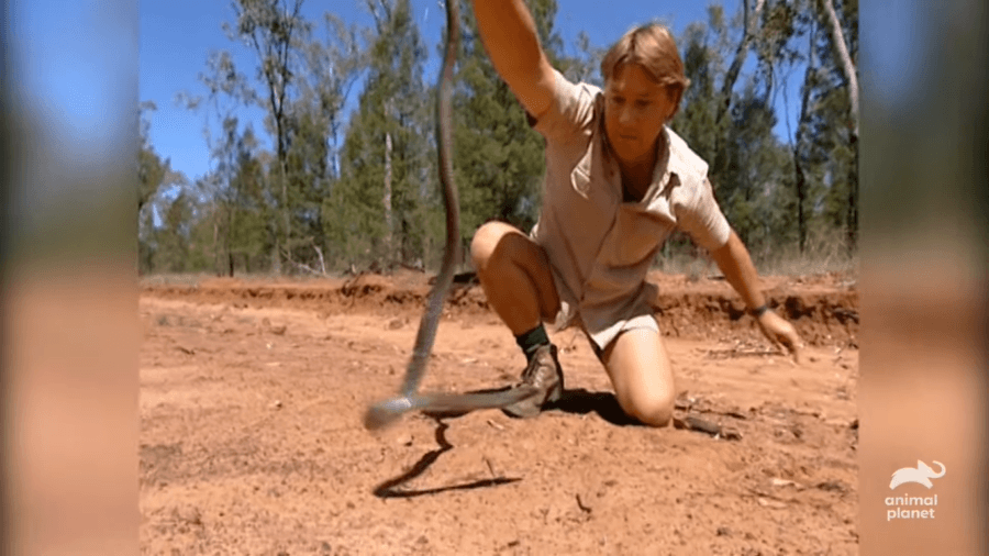 33 Wild Pictures Of Steve Irwin That Capture The 'Crocodile Hunter'