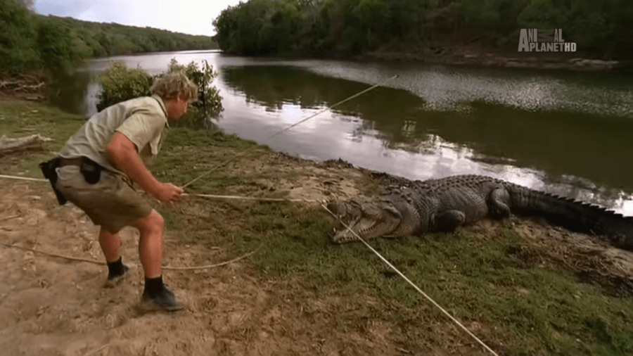 33 Wild Pictures Of Steve Irwin That Capture The 'Crocodile Hunter'
