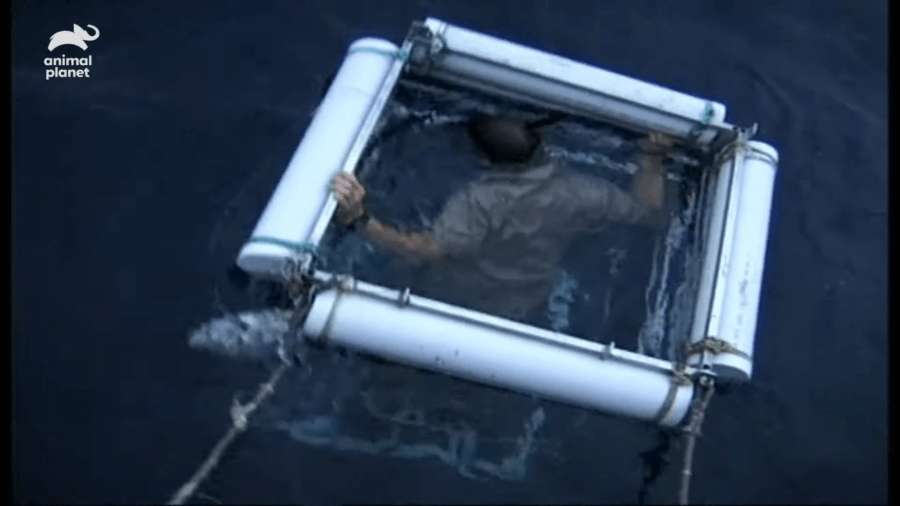 33 Wild Pictures Of Steve Irwin That Capture The 'Crocodile Hunter'